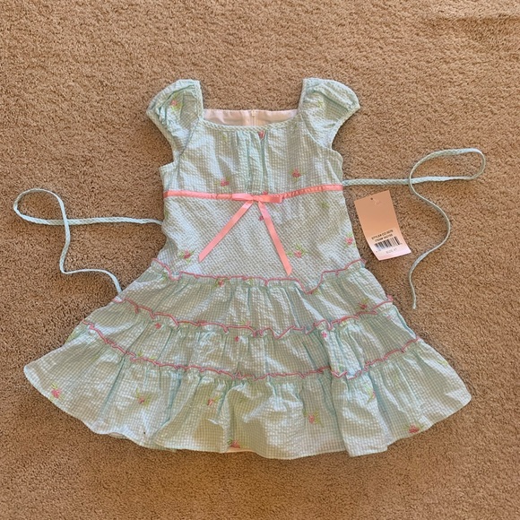 Jona Michelle | Dresses | Jona Michelle Light Blue Gingham Embroidered ...